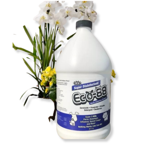 - Specialty Cleaning® Eco-88 Super Disinfectant - Gallon #SC00501