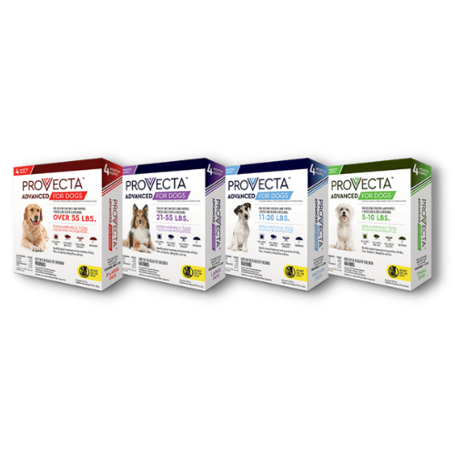 - Provecta® Advanced for Dogs #T-00891