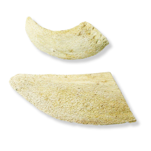 QT Dog® - QT Dog® Water Buffalo Horn Core Chews #T-01051