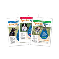 Spectra Shield™ Collar Attached Medallion
